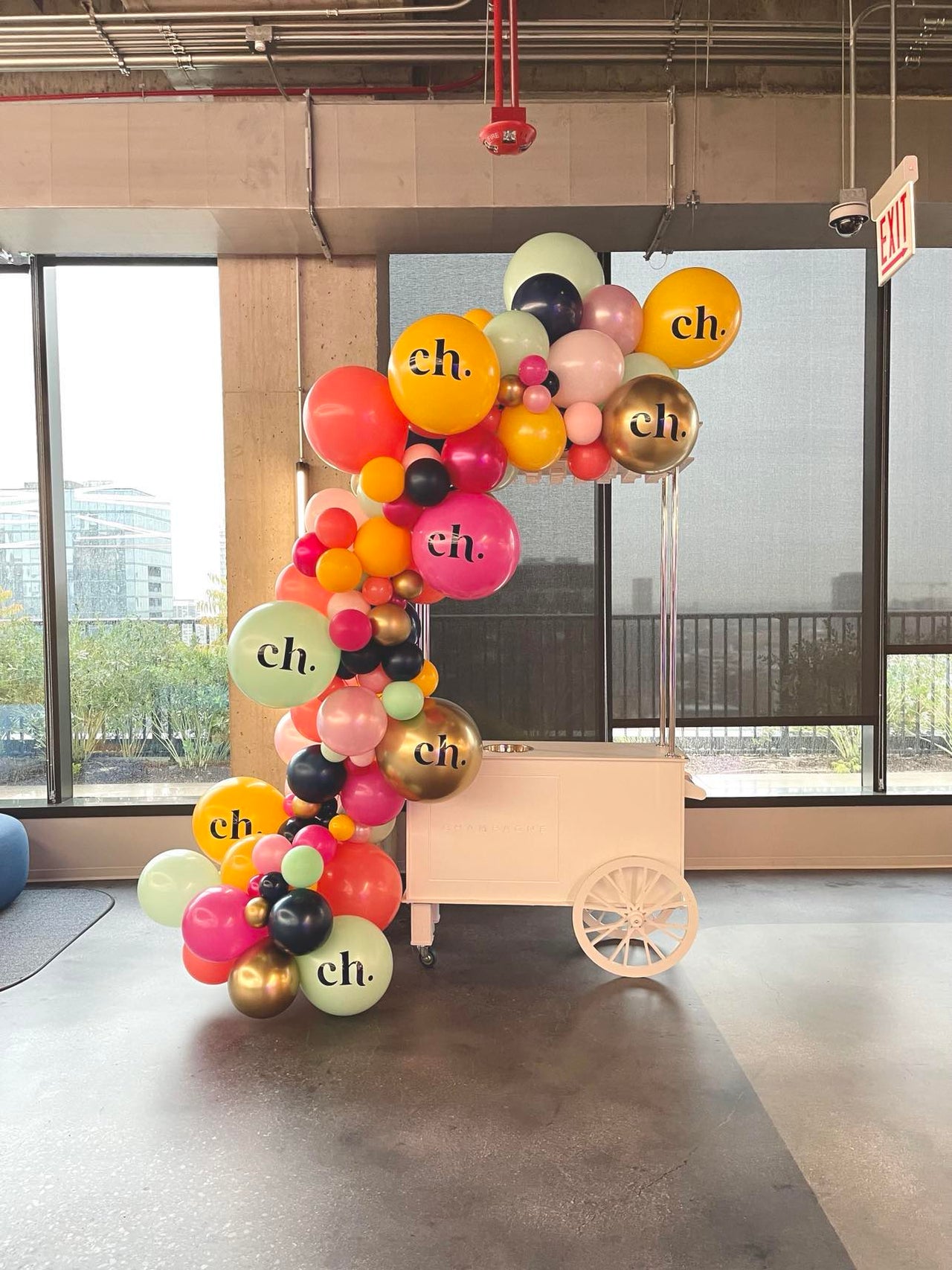 Corporate Balloon Brand Colors & Printed Logo Displays